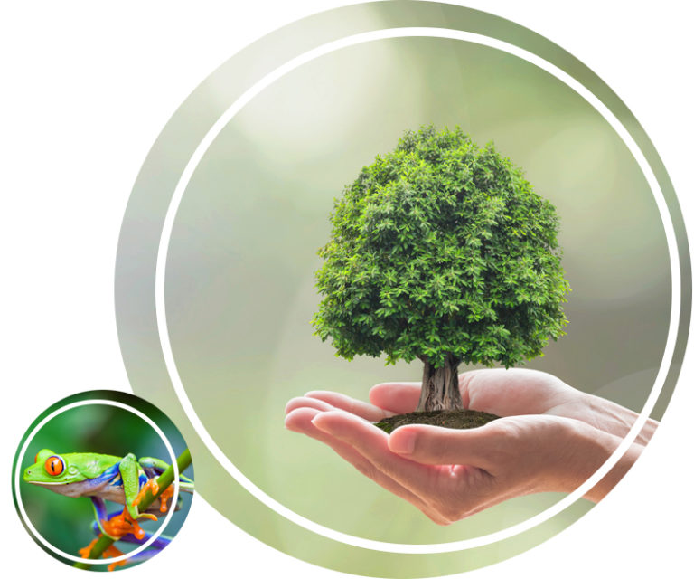 SOS Nature | Protégez la faune et la flore