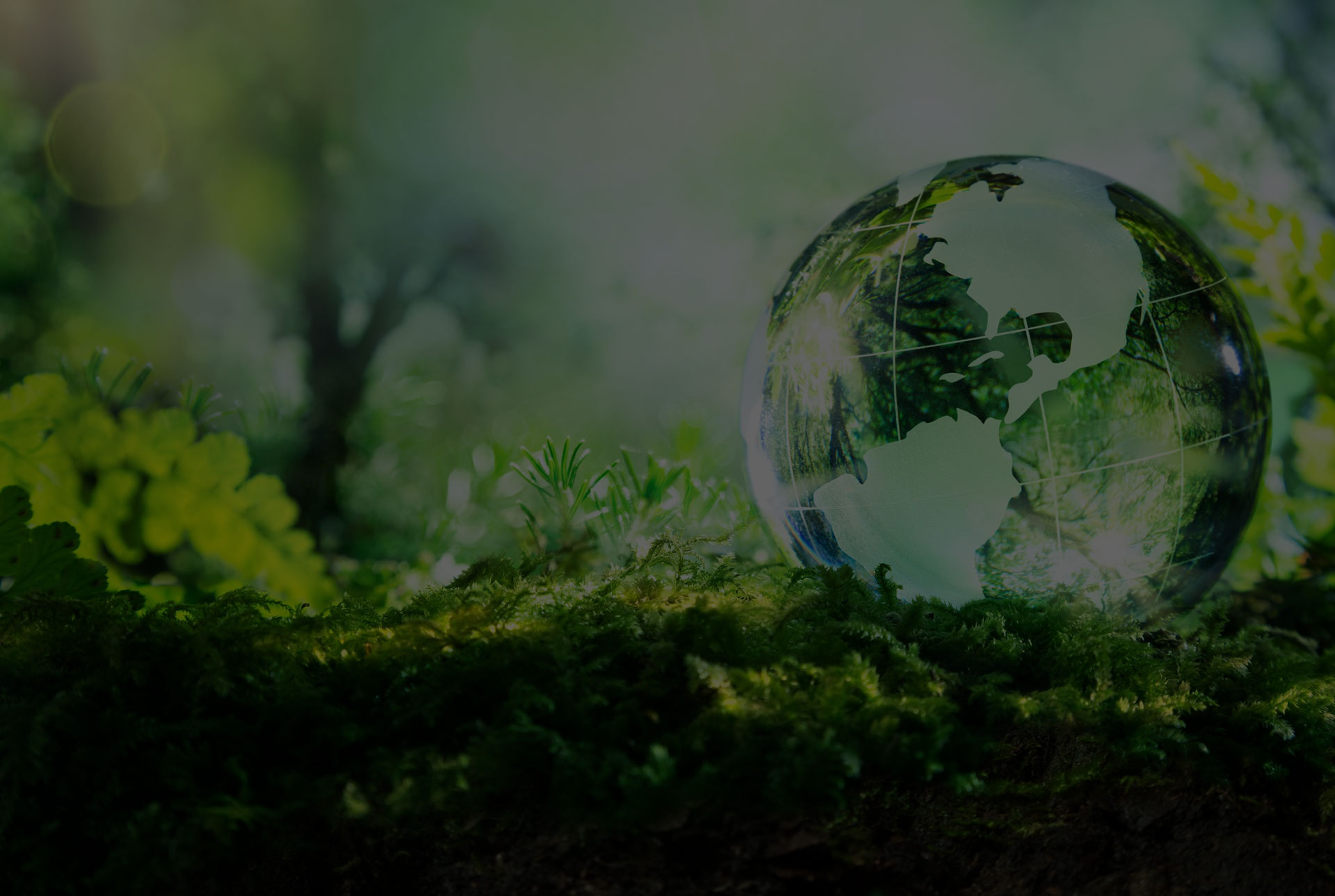 SOS Nature | Protégez la faune et la flore